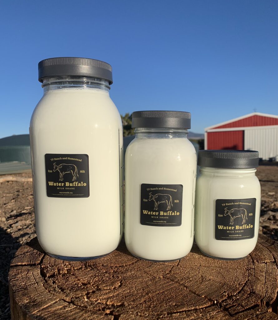 Water Buffalo Milk - Welcome
